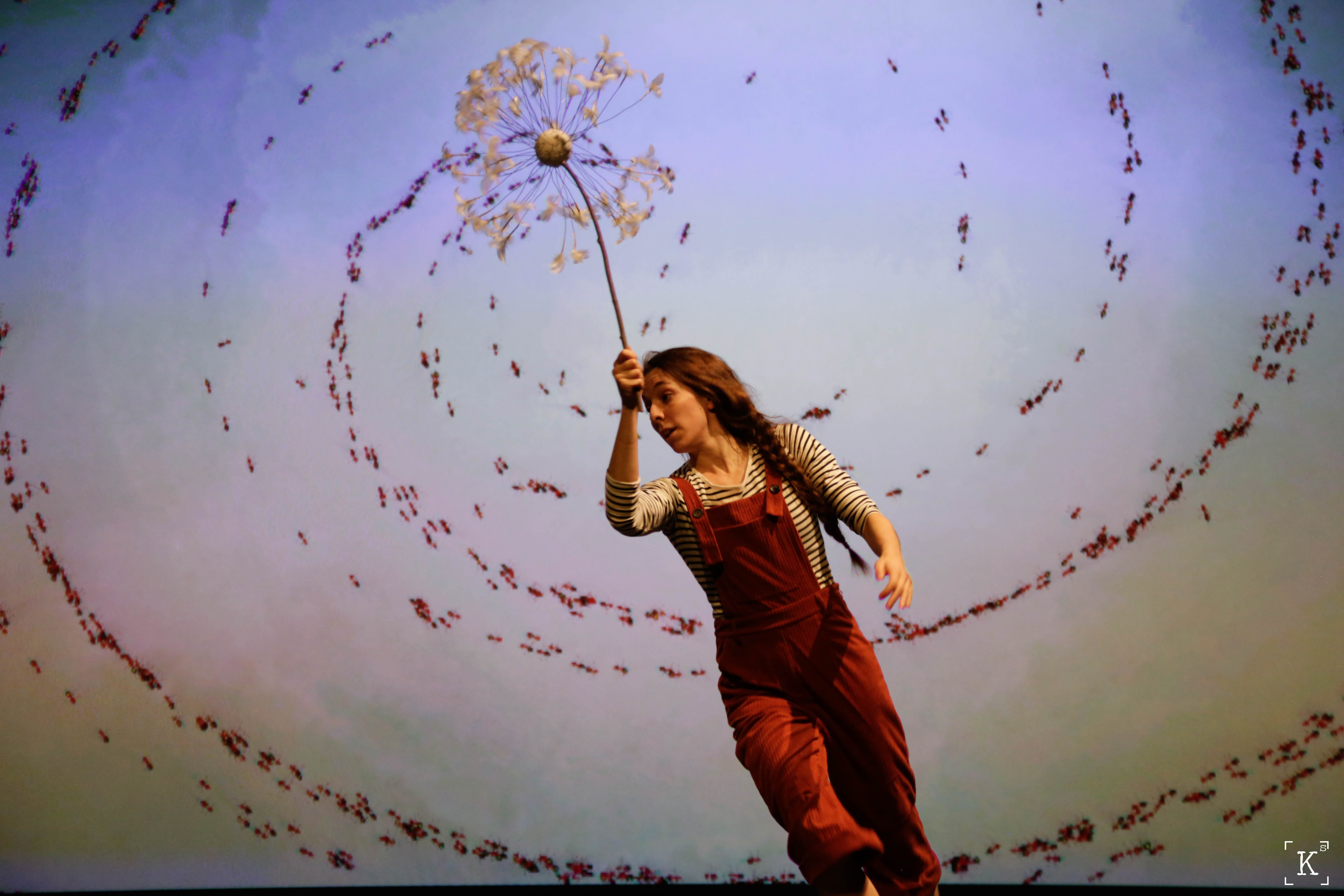 Dandelion | Studio Luce